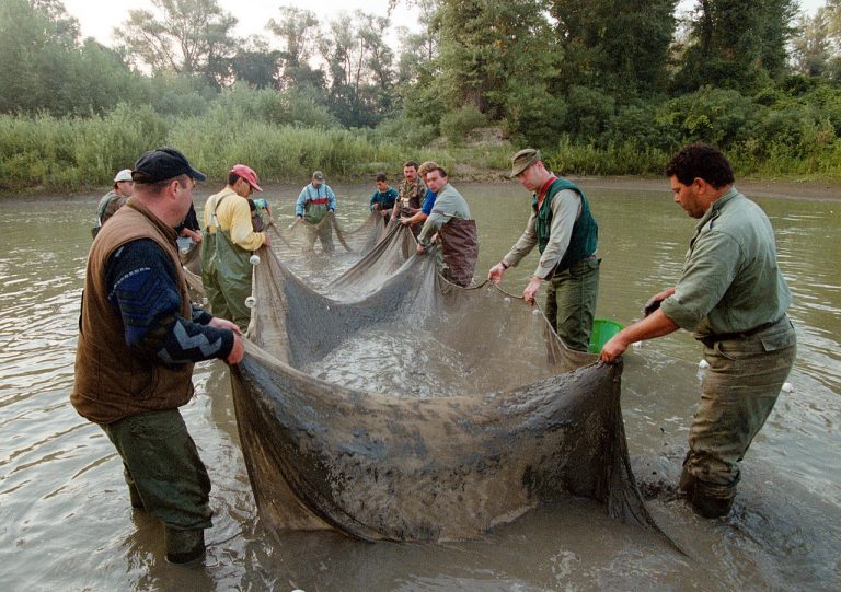 The Baia Mare tailings dam failure, 2000 – Fondazione Stava 1985 Onlus